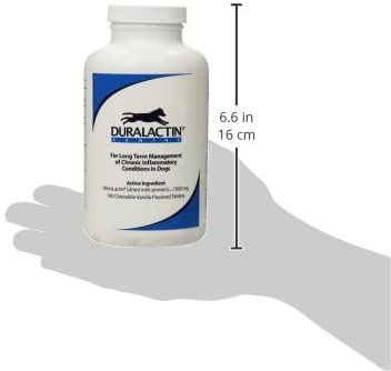 Pain Medications for a Cavapoo